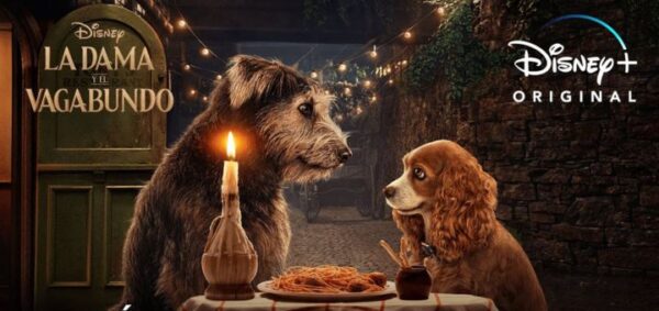 Las 10 películas con perros que te robarán el corazón - Inca Miau